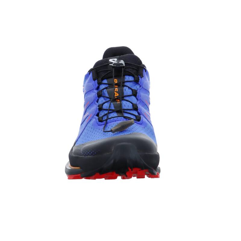 Salomon Pulsar Trail GTX Laufschuhe online kaufen | kanari.ch